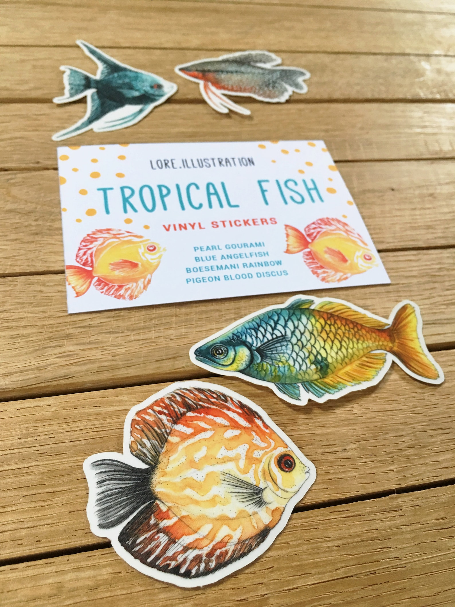 Tropical Fish Stickers Fish Vinyl Stickers Transparent - Etsy UK