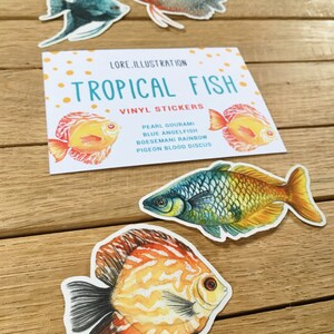 Watercolor Tropical Fish Stickers: Vinyl Decal Set, Plastic Free - Etsy