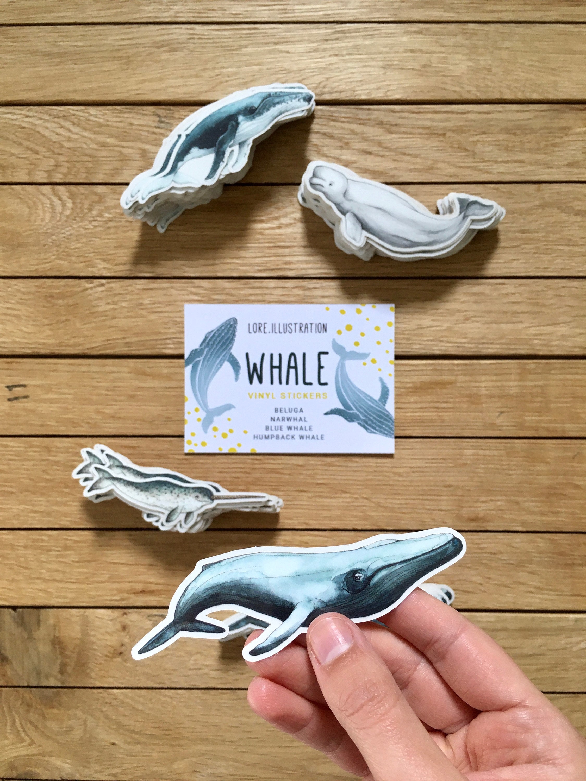 Whale Stickers Transparent Stickers Vinyl Stickers Set - Etsy UK