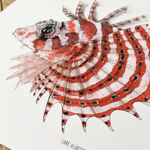LIMITED EDITION Print, Lion Fish Print, Hahnemühle Fine Art Matte Paper ...