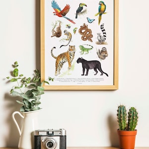 Rainforest Poster, Rainforest Animals, Watercolor Art, Nursery Decor ...