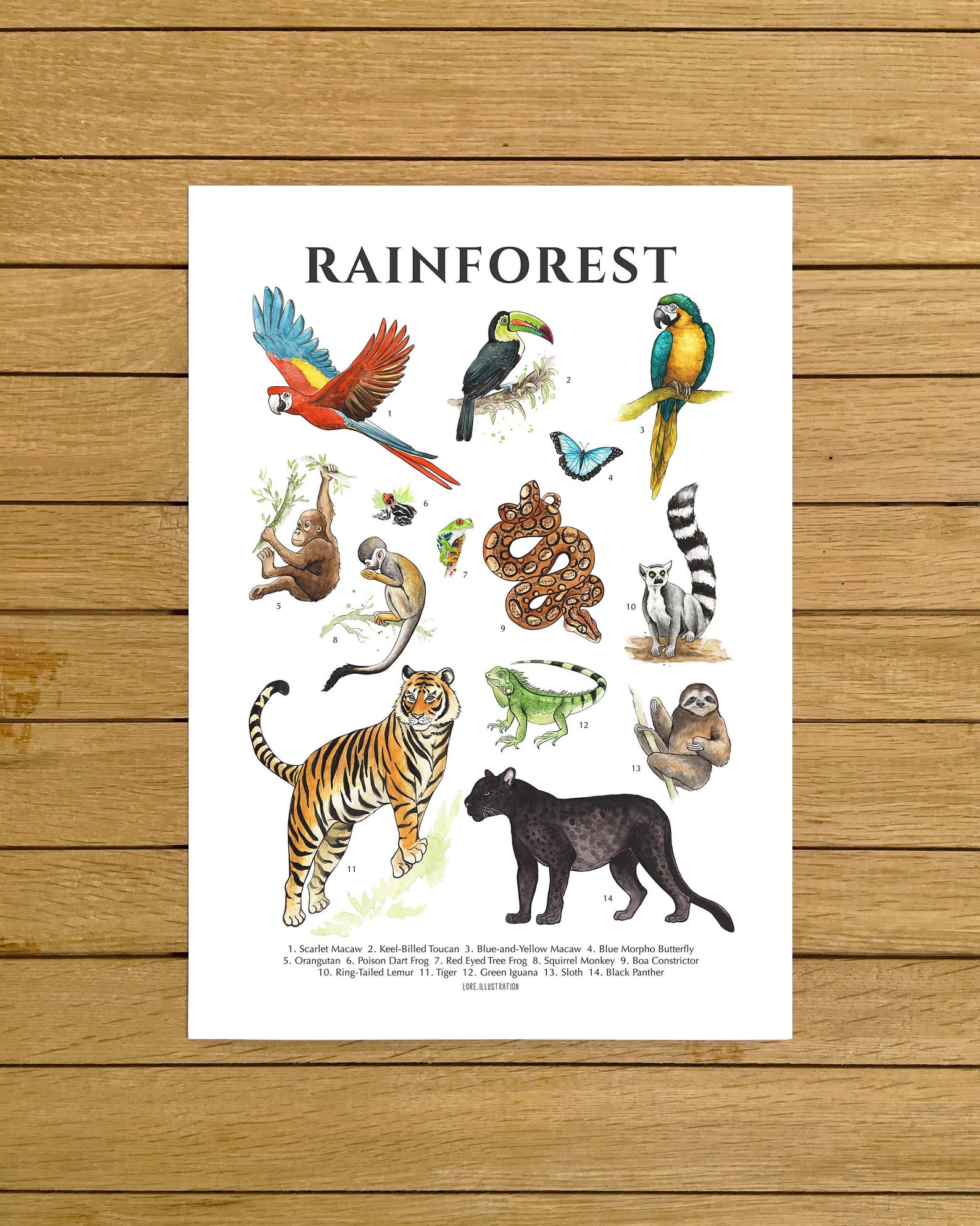 Rainforest Poster, Rainforest Animals, Watercolor Art, Nursery Decor ...