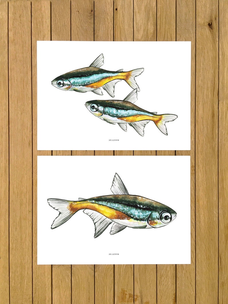 Neon Fish Duo Prints Giclée Prints Watercolor Illustration | Etsy