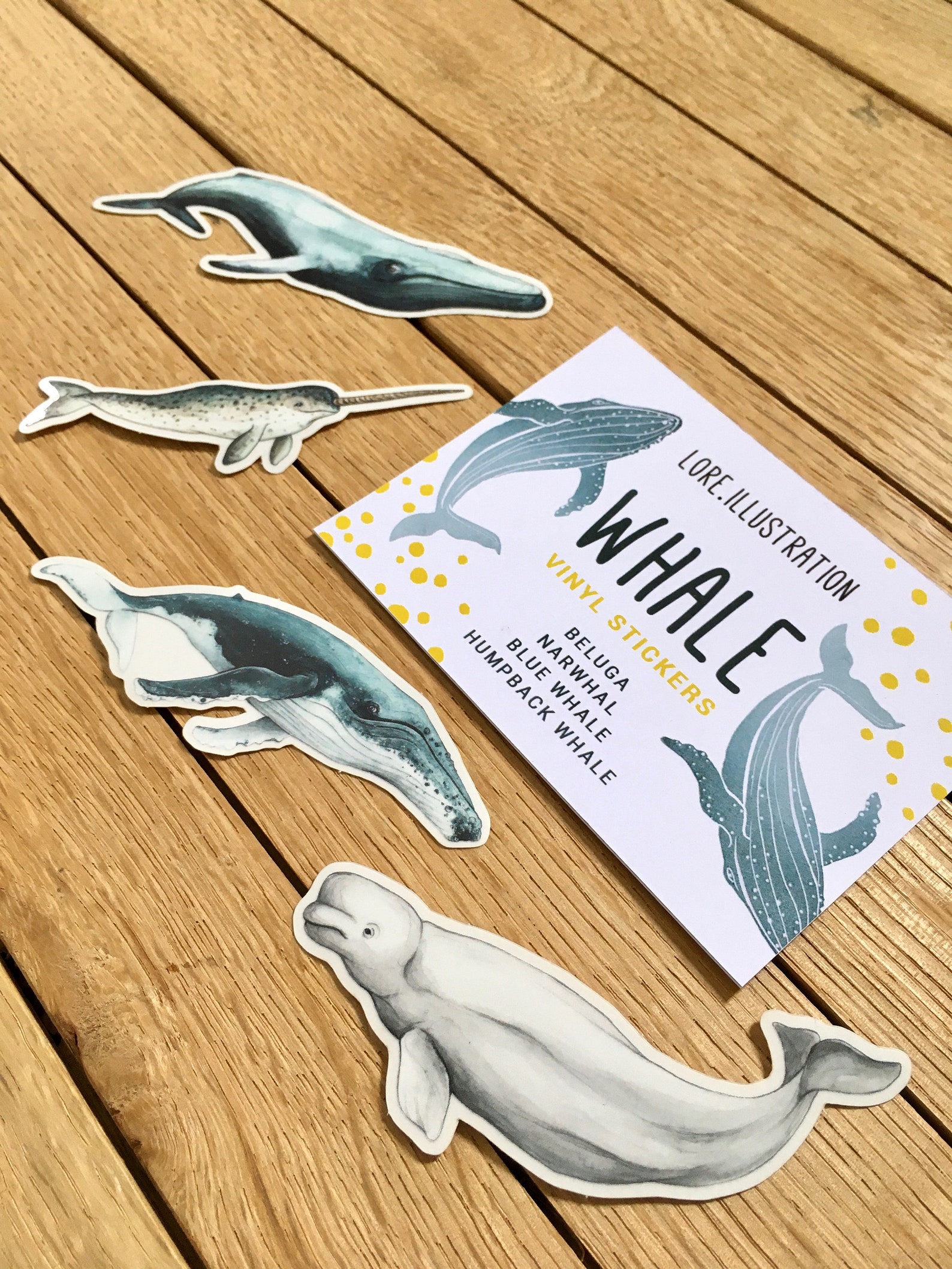 Whale Stickers Transparent Stickers Vinyl Stickers Set | Etsy