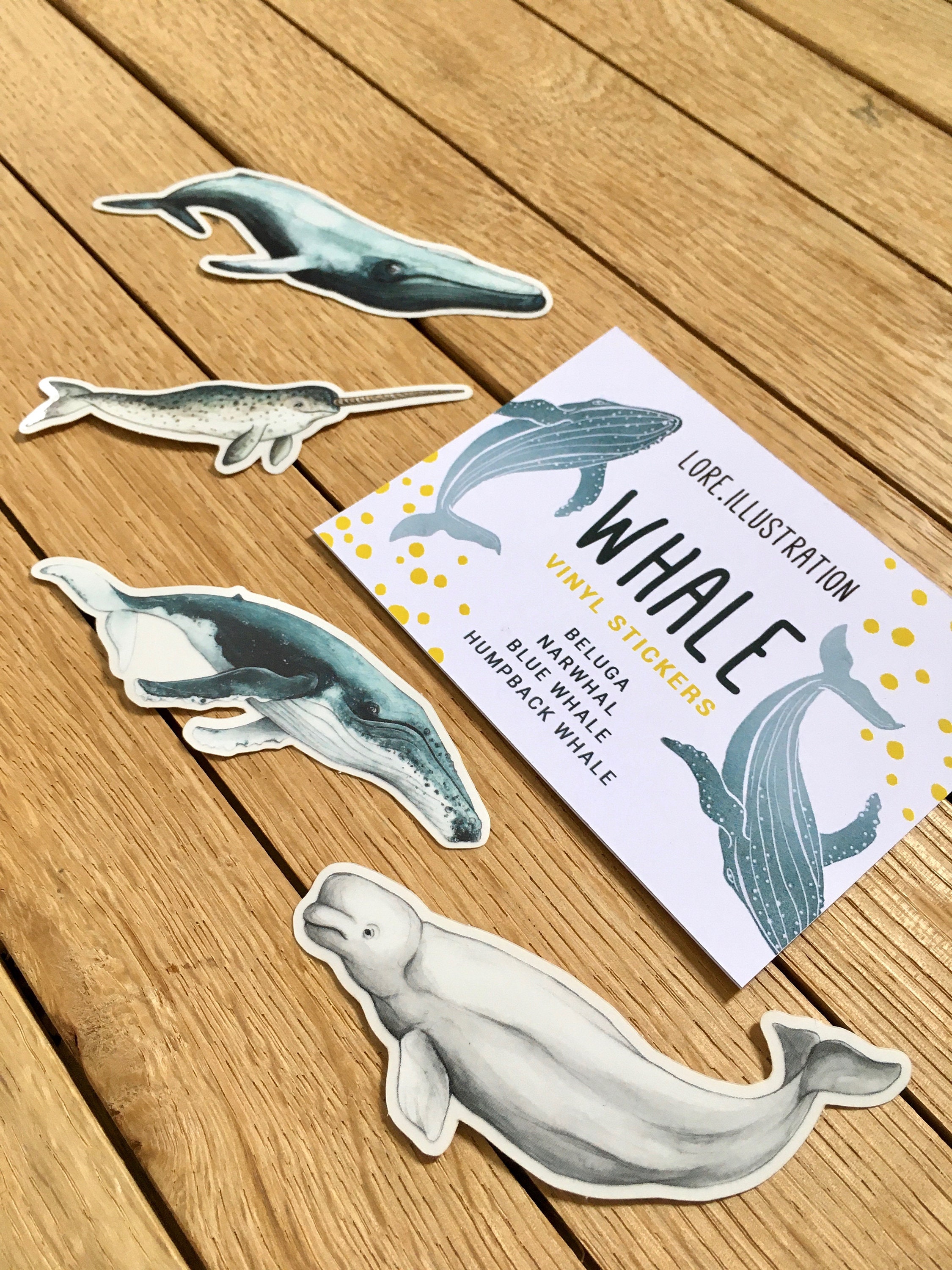 Whale Stickers Transparent Stickers Vinyl Stickers Set - Etsy UK