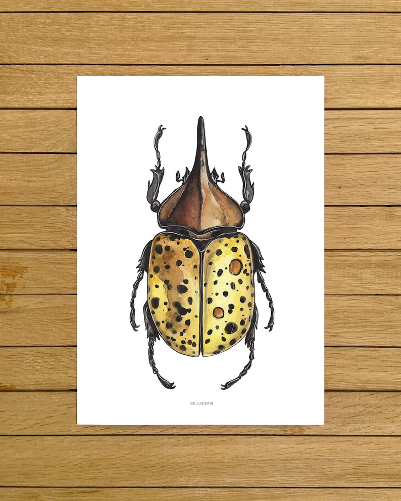 Dynastinae Beetle Print Beetle Art Bug Wall Art Insect | Etsy