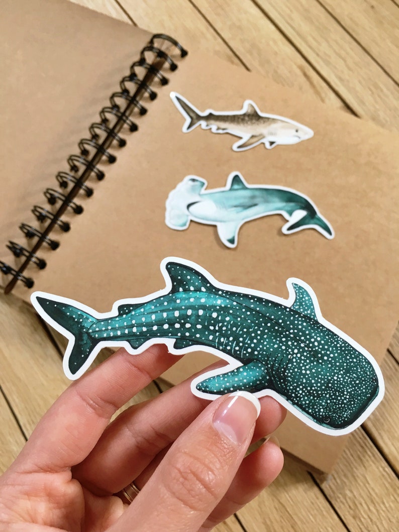 Hai Sticker Vinyl Sticker Haie Ocean Life plastikfreie - Etsy.de