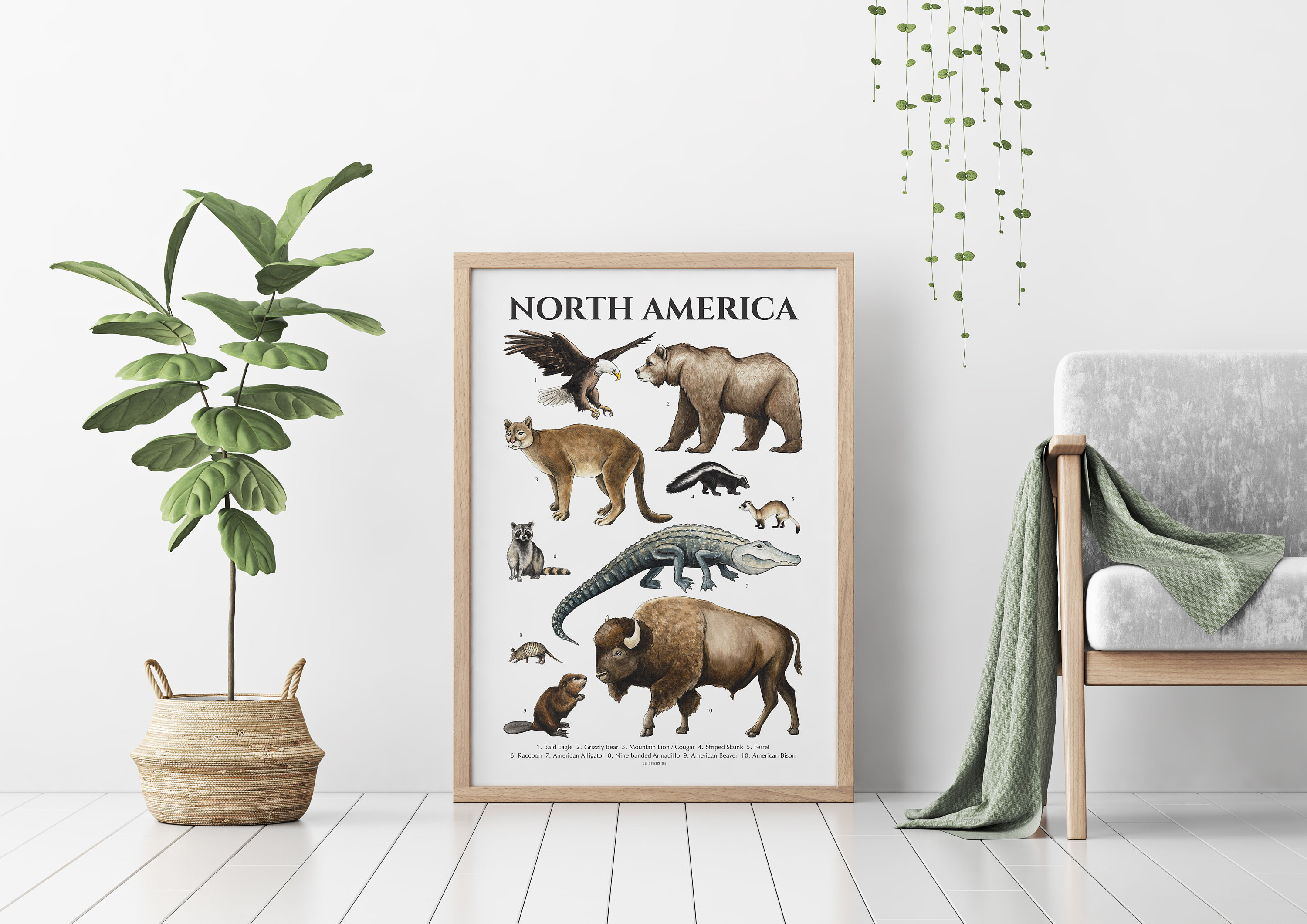 North America Animals Animals Poster Nursery Decor Home | Etsy