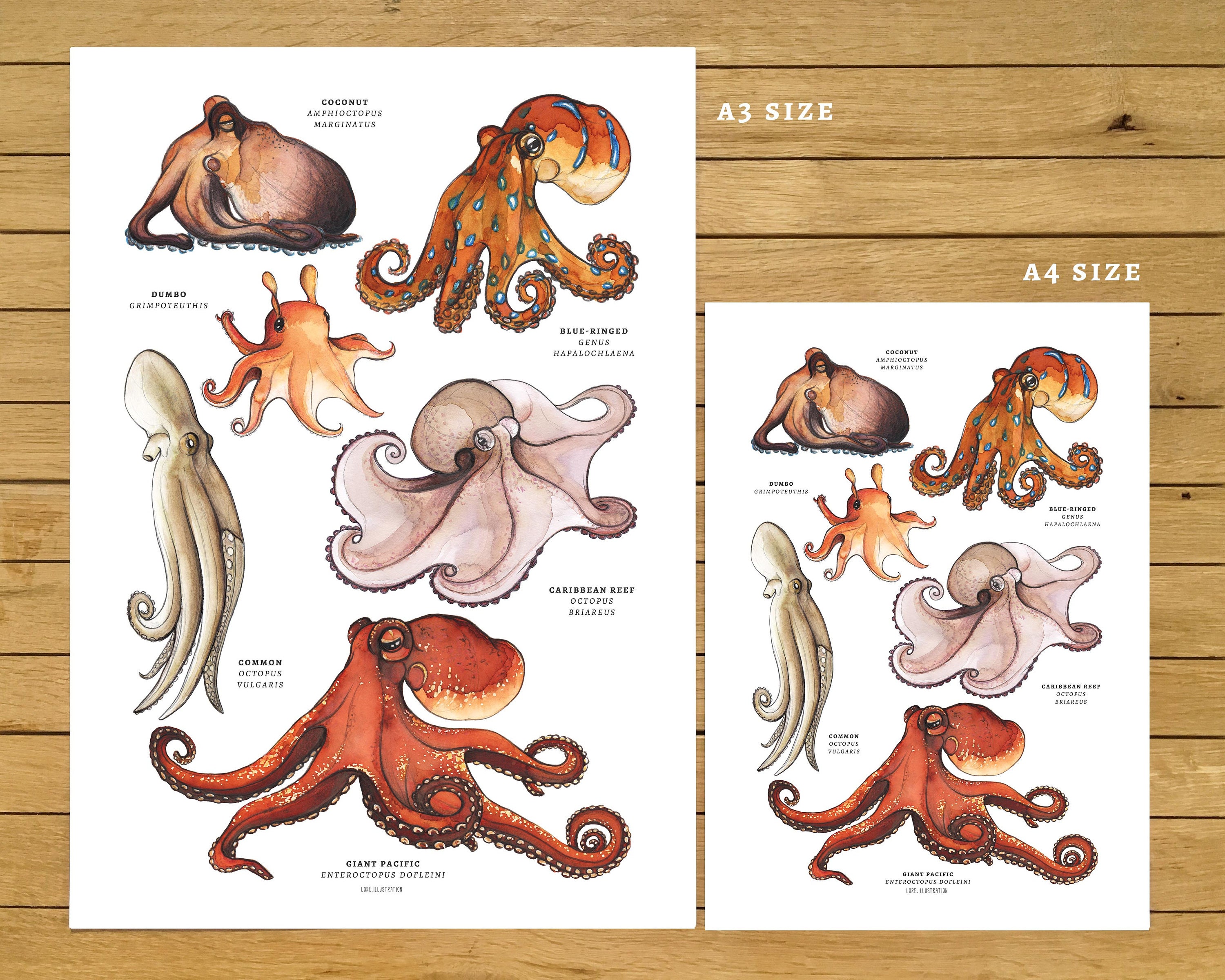 Octopus Poster Octopuses Watercolour Illustration Giclée - Etsy UK