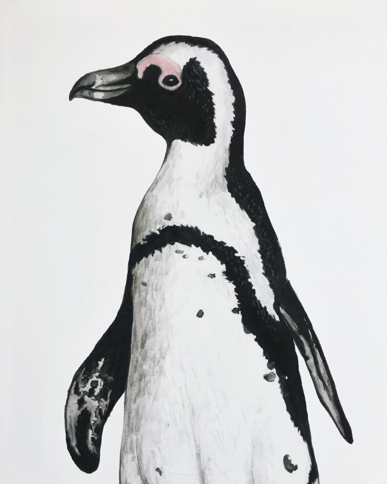 African Penguin Print Penguin Wall Art Penguin Print Wall - Etsy