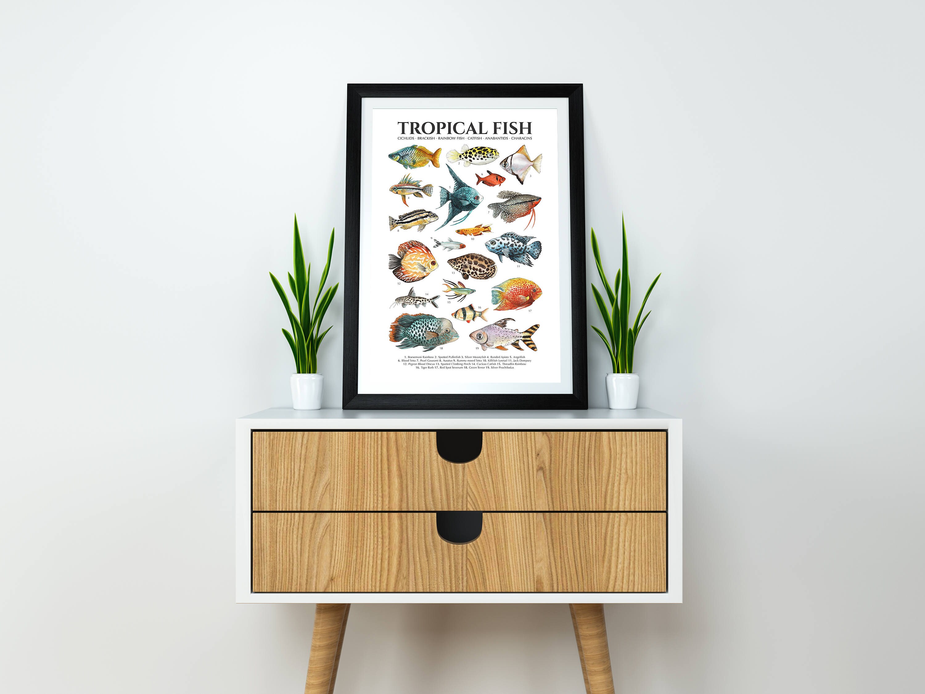 Tropischer Fisch Druck Fisch Poster Giclée Print | Etsy