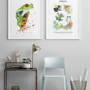 Frogs Poster, Watercolour Illustration, Frogs Species, Nursery Decor ...