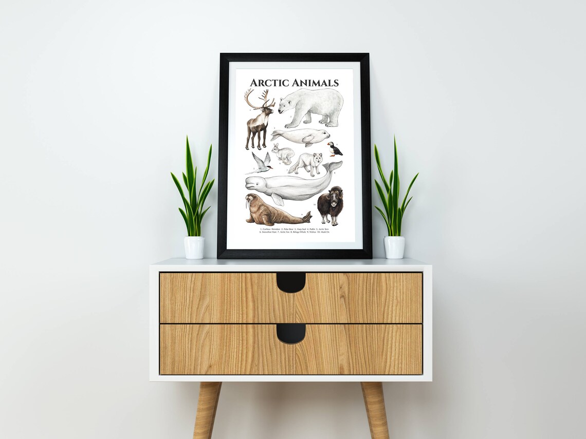 Arctic Animals Poster Animals Nursery Decor Scandinavian | Etsy