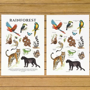 Rainforest Poster, Rainforest Animals, Watercolor Art, Nursery Decor ...