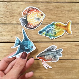 Tropical Fish Stickers, Fish, Vinyl Stickers, Transparent Stickers ...