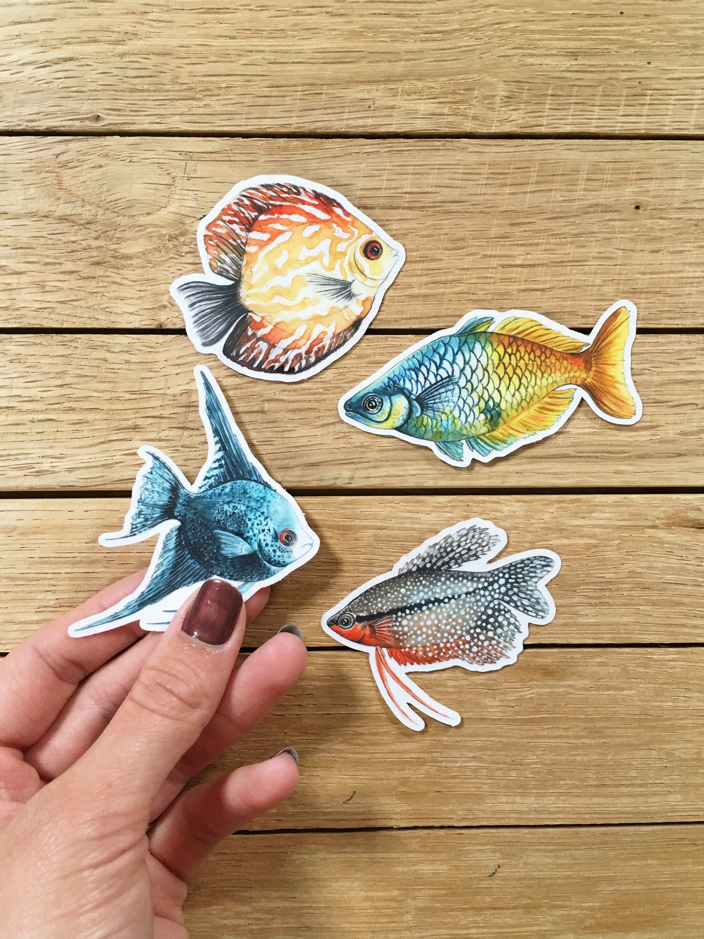 Tropical Fish Stickers Fish Vinyl Stickers Transparent - Etsy UK