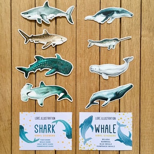 Whale Stickers Transparent Stickers Vinyl Stickers Set - Etsy UK