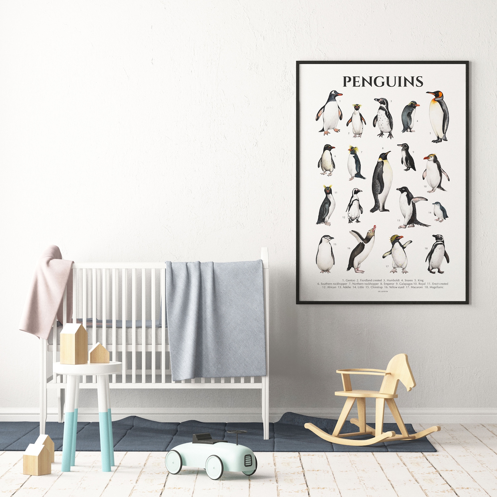 Penguins Poster Penguin Species Antarctica Animals Art | Etsy