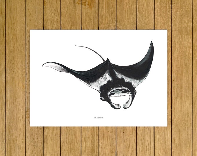 Manta Ray Print, Ocean Wall Art Decor, Animal Species, Giclée Print ...