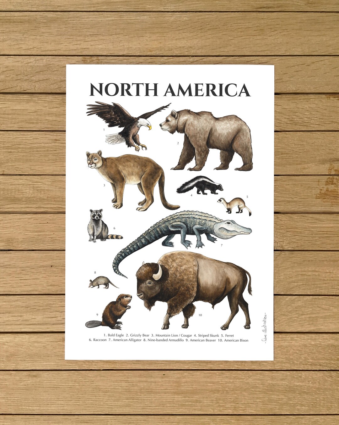 North America Animals, Animals Poster, Nursery Decor, Home Decor ...