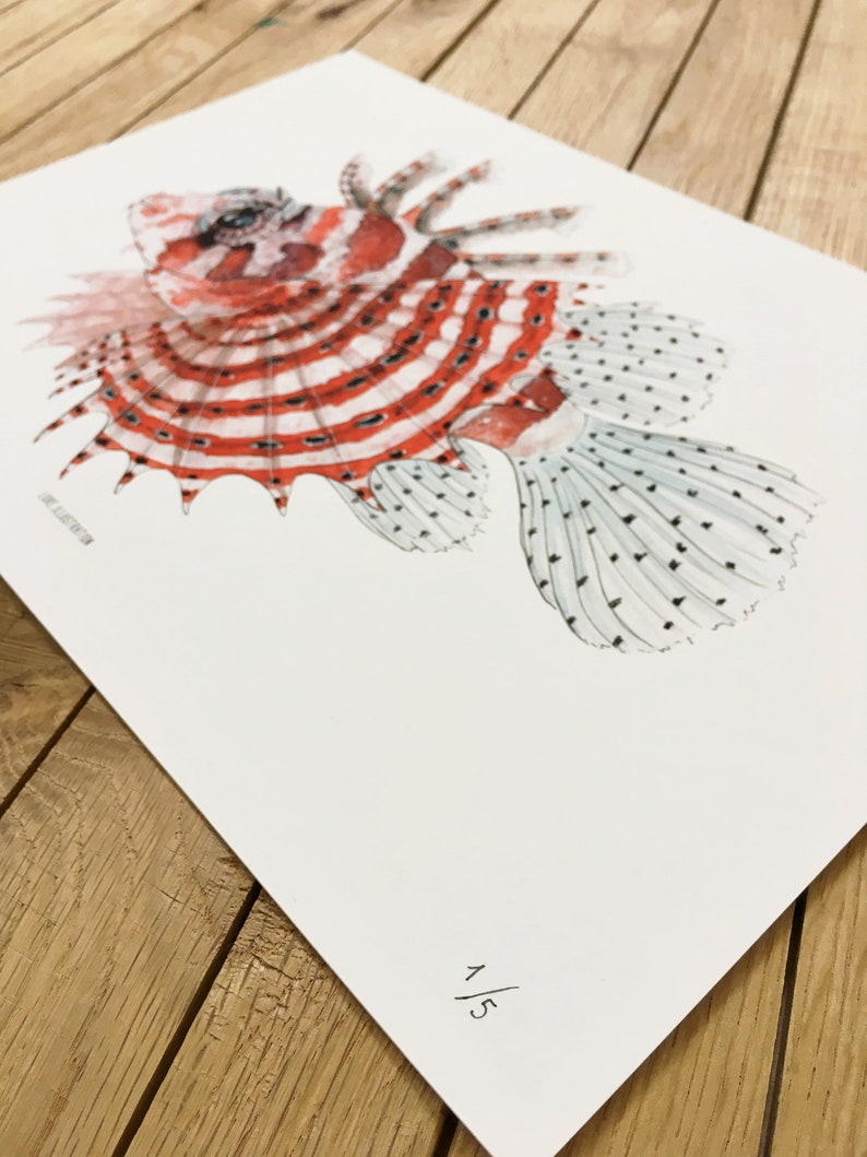 LIMITED EDITION Print Lion Fish Print Hahnemühle Fine Art | Etsy