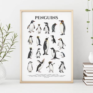 Penguins Poster, Penguin Species, Antarctica Animals Art, Watercolor ...