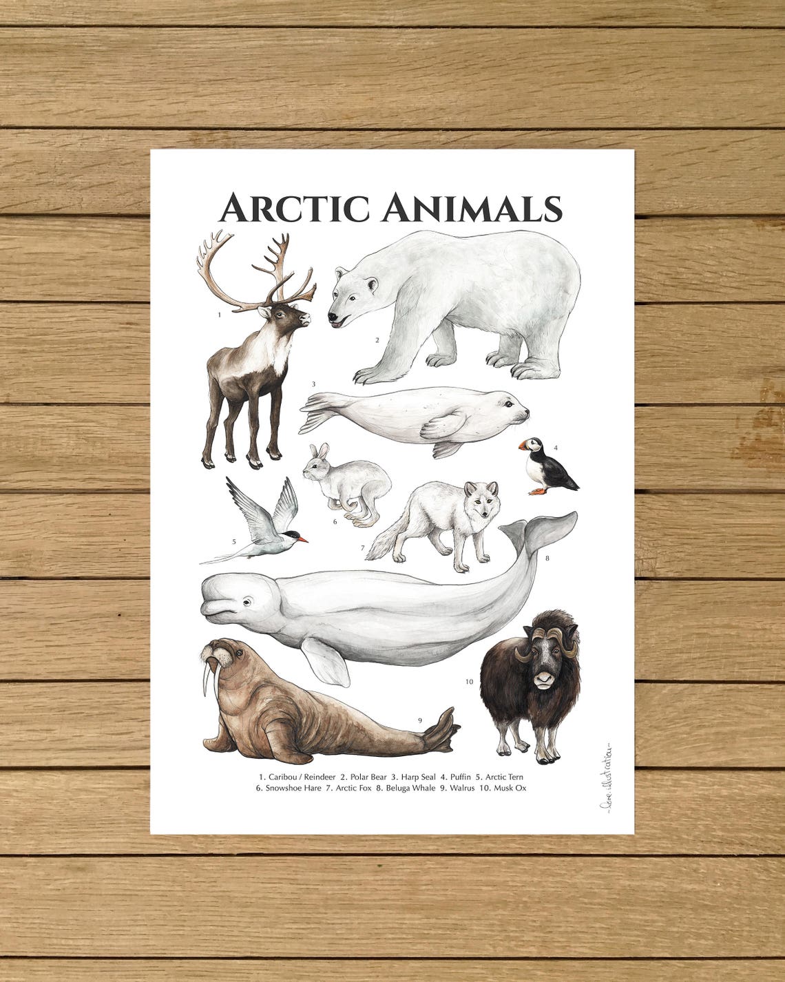 Arctic Animals Poster Animals Nursery Decor Scandinavian | Etsy