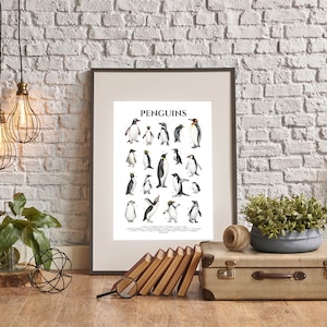 Penguins Poster, Penguin Species, Antarctica Animals Art, Watercolor ...