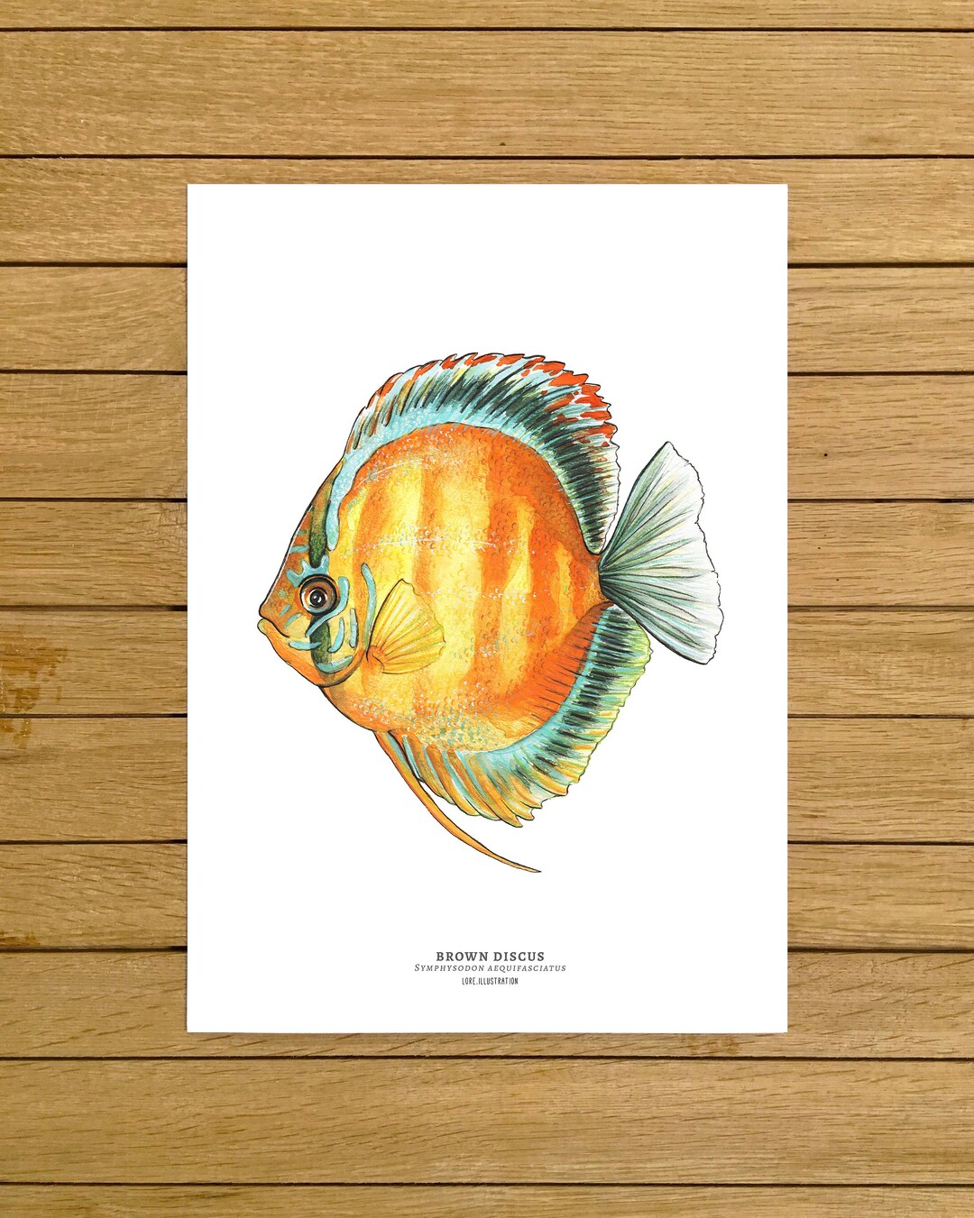 Discus Fish Print, Tropical Fish Print, Giclée Print, Watercolor ...
