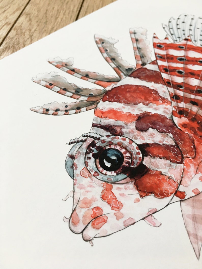 LIMITED EDITION Print Lion Fish Print Hahnemühle Fine Art | Etsy