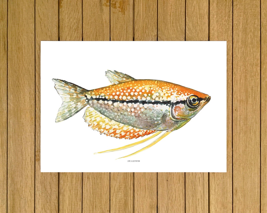 Orange Pearl Gourami Fish Print, Tropical Fish Wall Art, Tropical Home ...