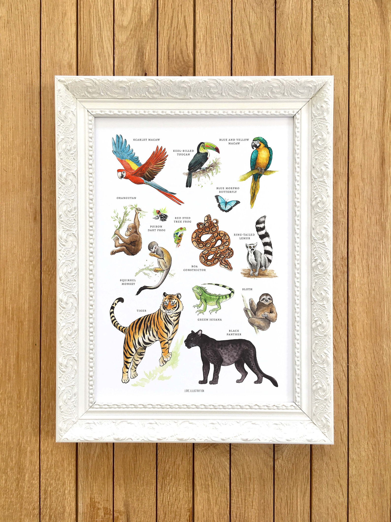 Rainforest Poster, Rainforest Animals, Watercolor Art, Nursery Decor ...