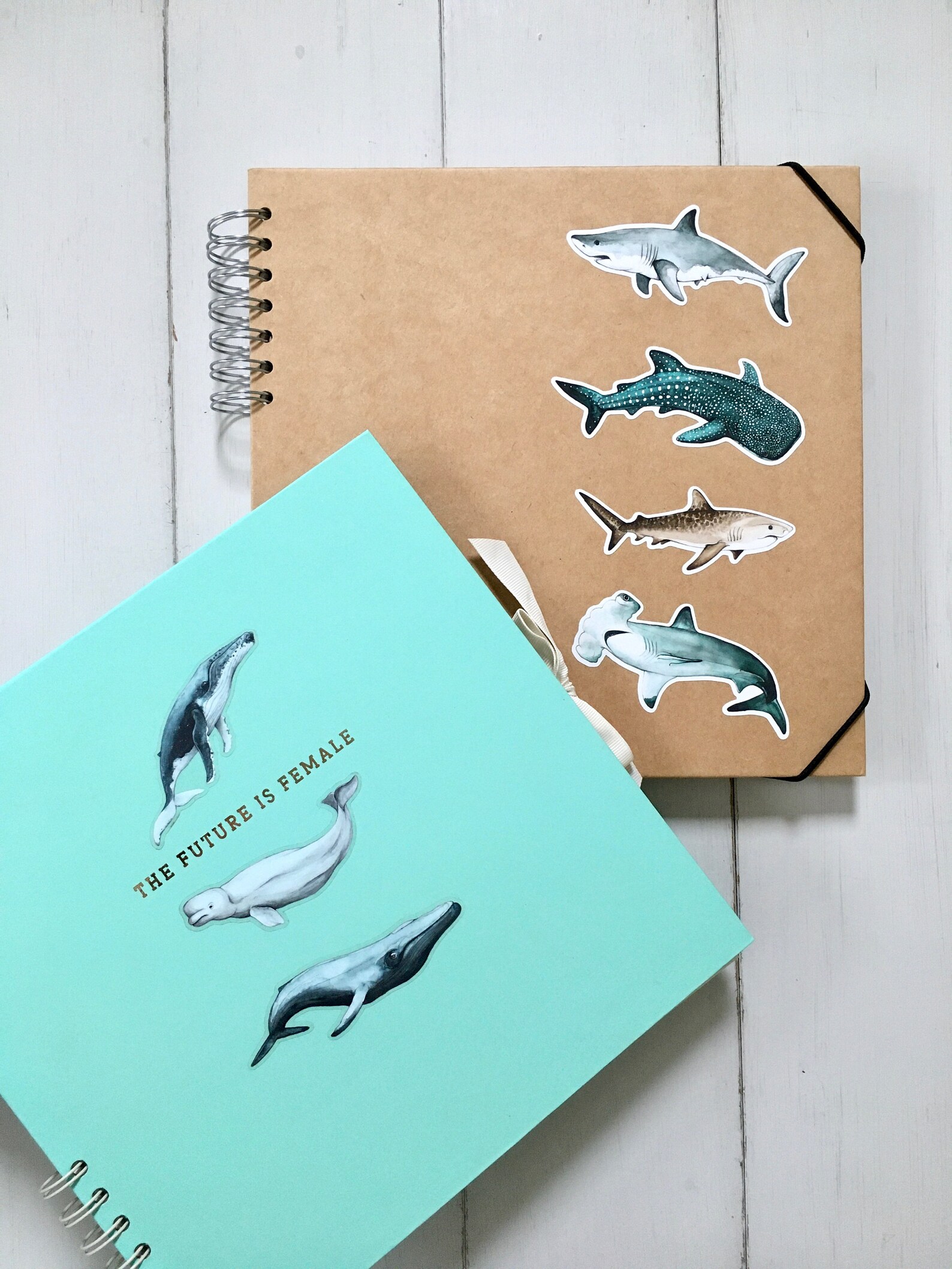Whale Stickers Transparent Stickers Vinyl Stickers Set - Etsy UK