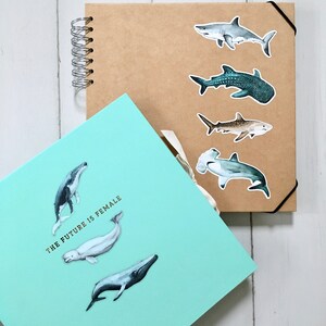 Whale Stickers Transparent Stickers Vinyl Stickers Set - Etsy UK