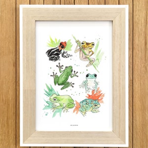 Frogs Poster, Watercolour Illustration, Frogs Species, Nursery Decor ...