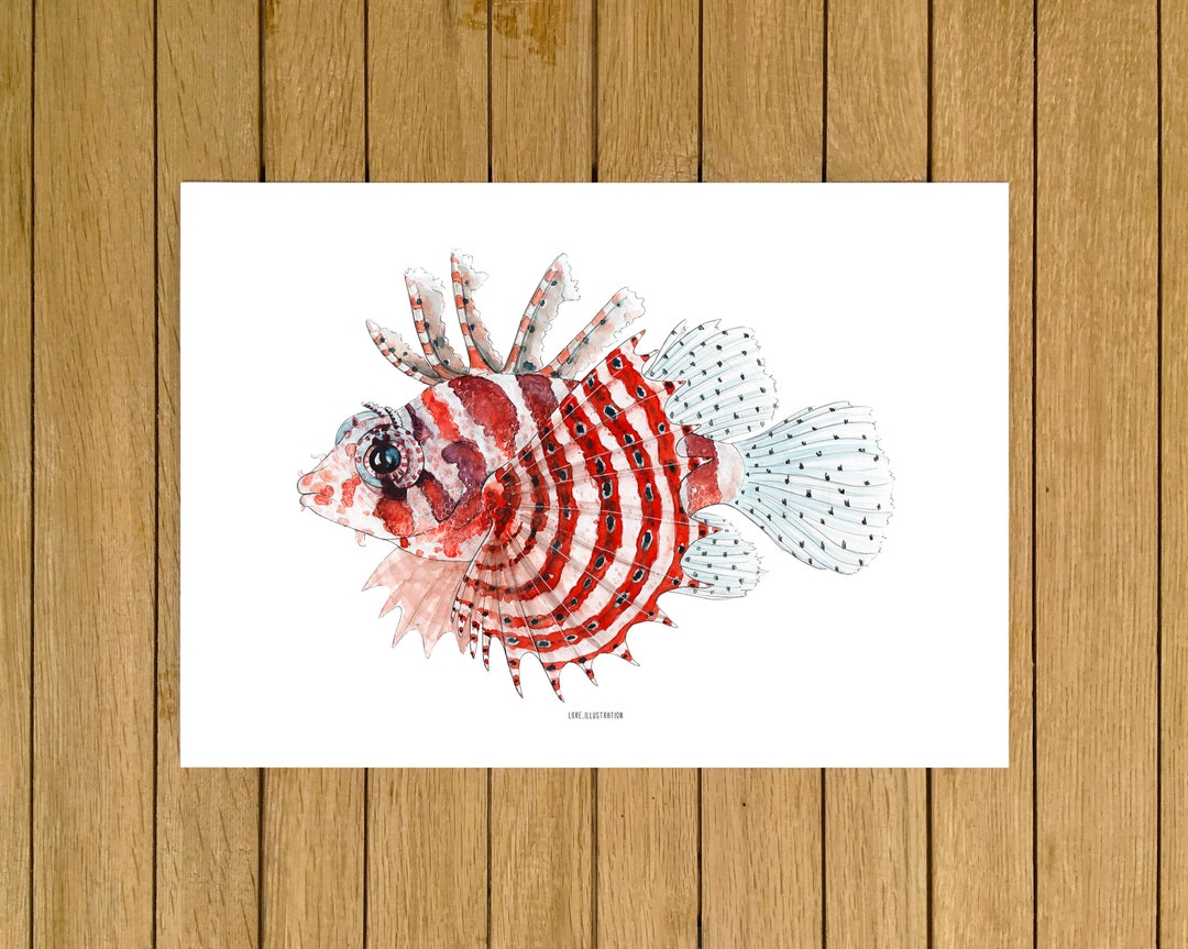 LIMITED EDITION Print, Lion Fish Print, Hahnemühle Fine Art Matte Paper ...