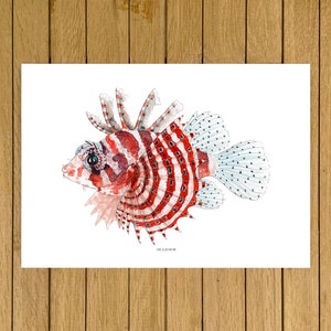 LIMITED EDITION Print, Lion Fish Print, Hahnemühle Fine Art Matte Paper ...