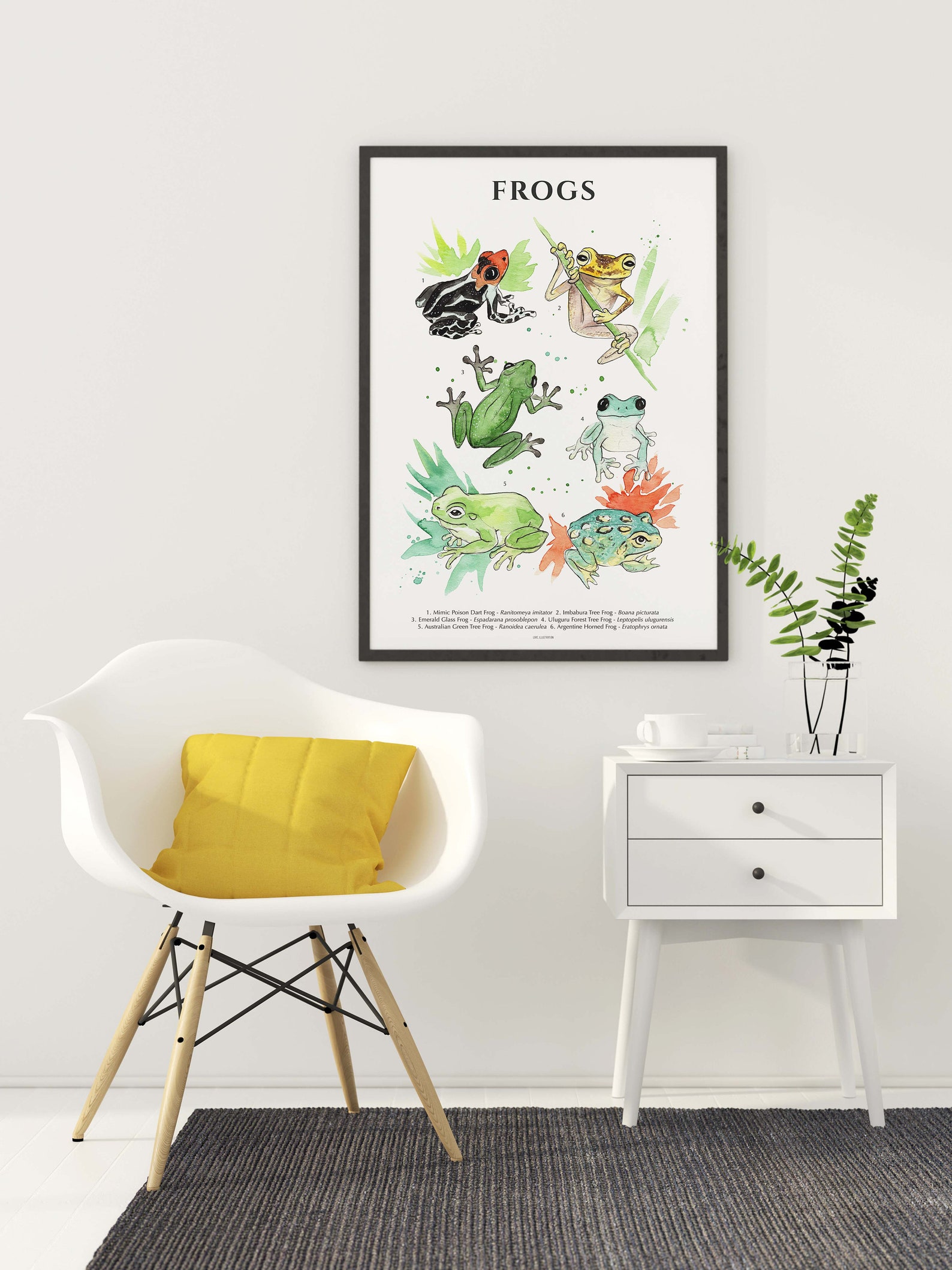 Frogs Poster Watercolour Illustration Frogs Species Nursery | Etsy