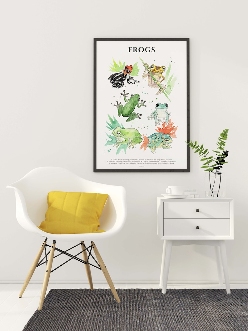Frogs Poster Watercolour Illustration Frogs Species Nursery | Etsy