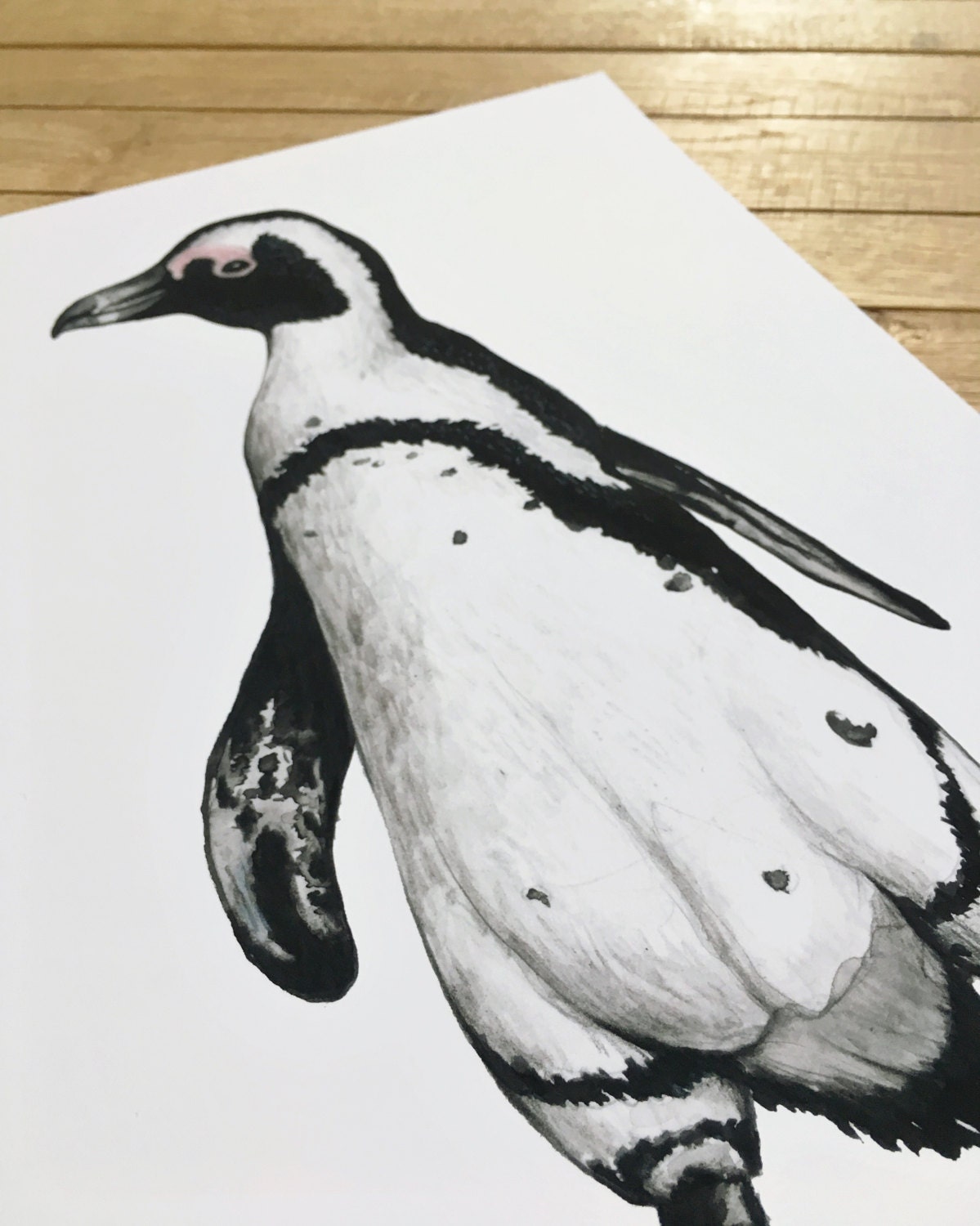African Penguin Print Penguin Wall Art Penguin Print Wall | Etsy