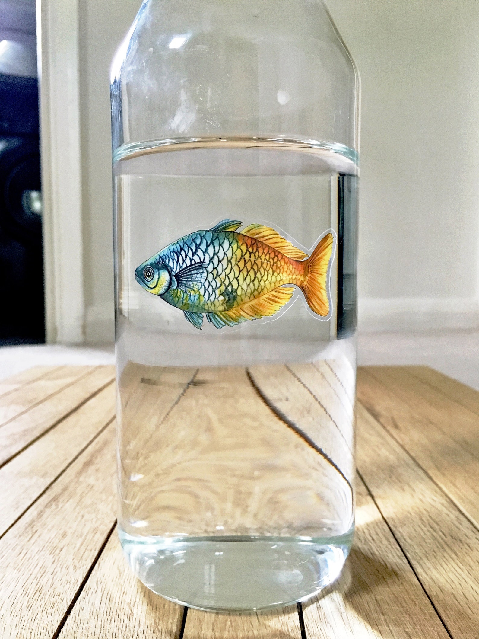 Tropical Fish Stickers Fish Vinyl Stickers Transparent - Etsy UK