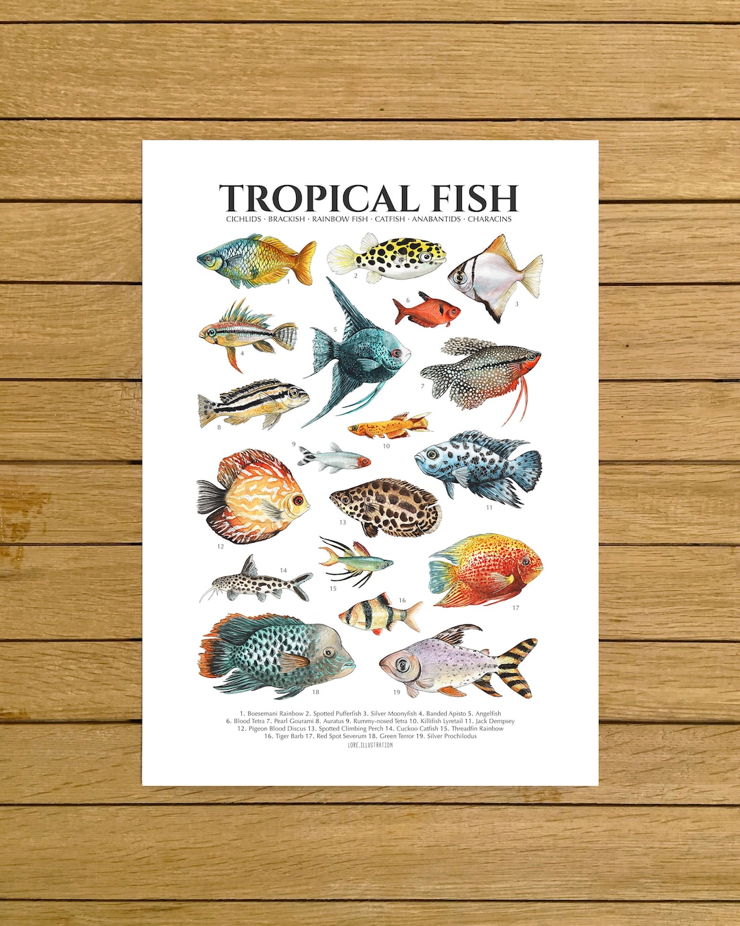 Tropical Fish Print, Fish Poster, Giclée Print, Nursery Decor, Tropical ...
