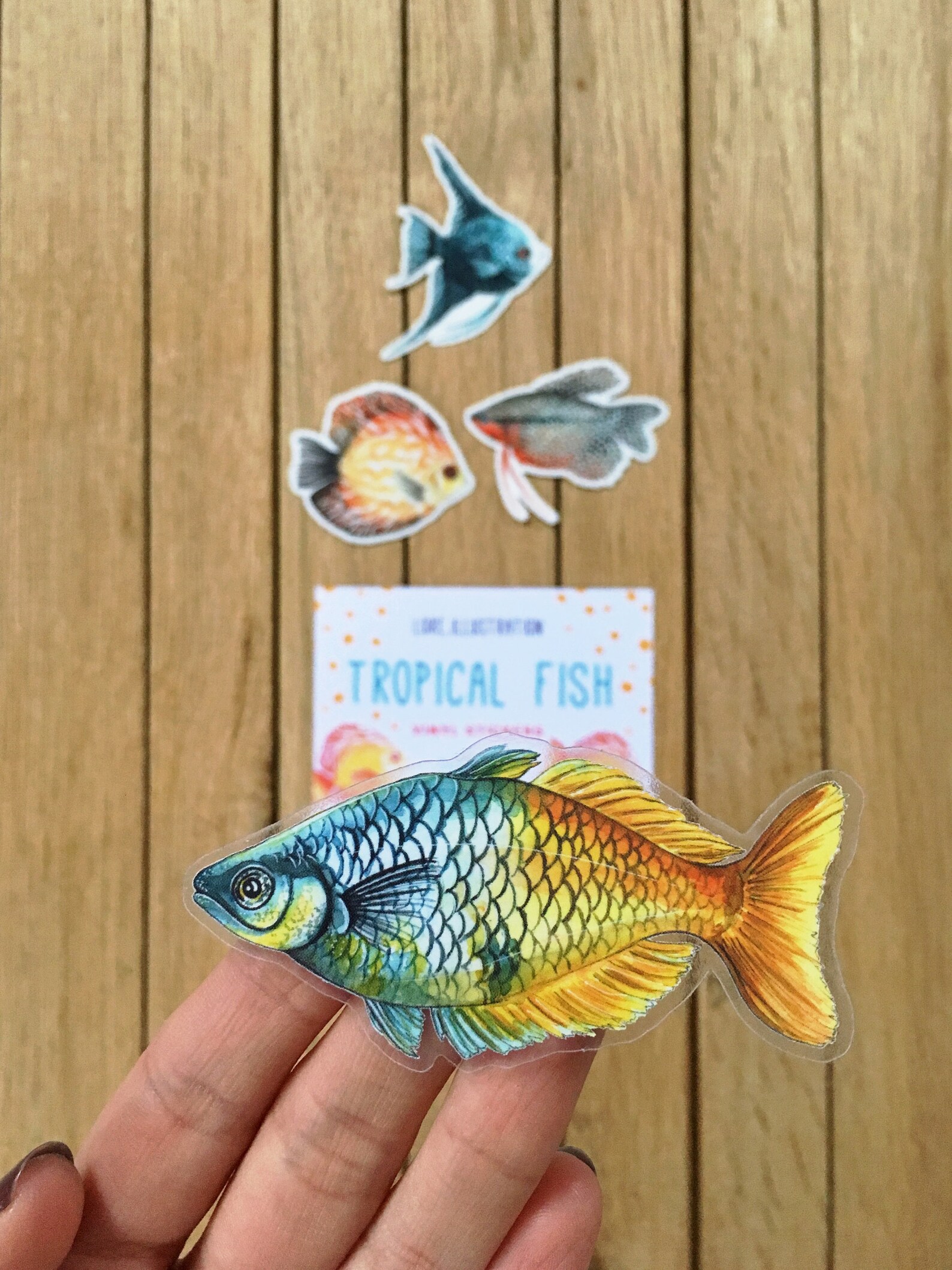 Tropical Fish Stickers Fish Vinyl Stickers Transparent - Etsy UK