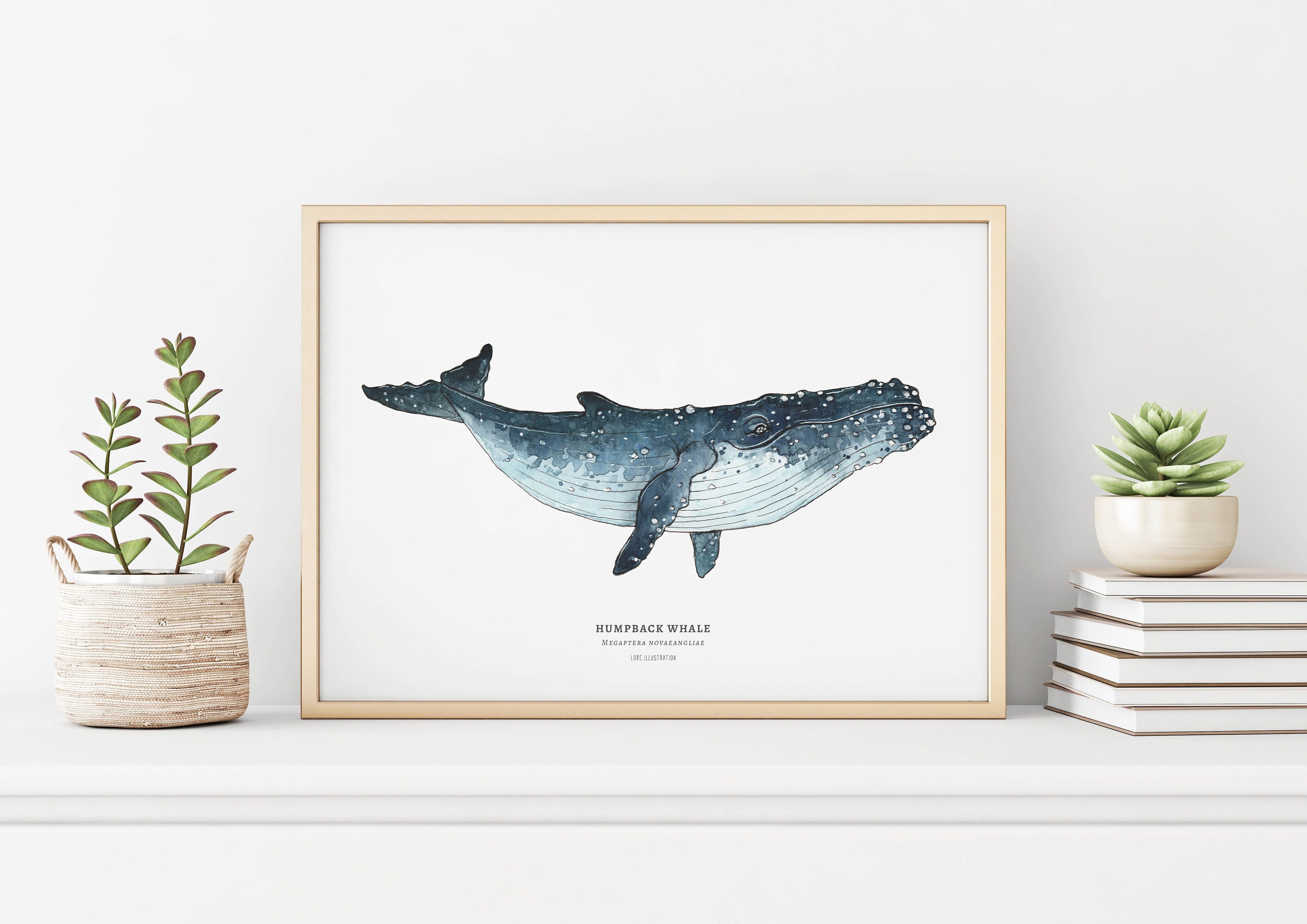 Humpback Whale Print Whale Wall Art Decor Whale Print - Etsy