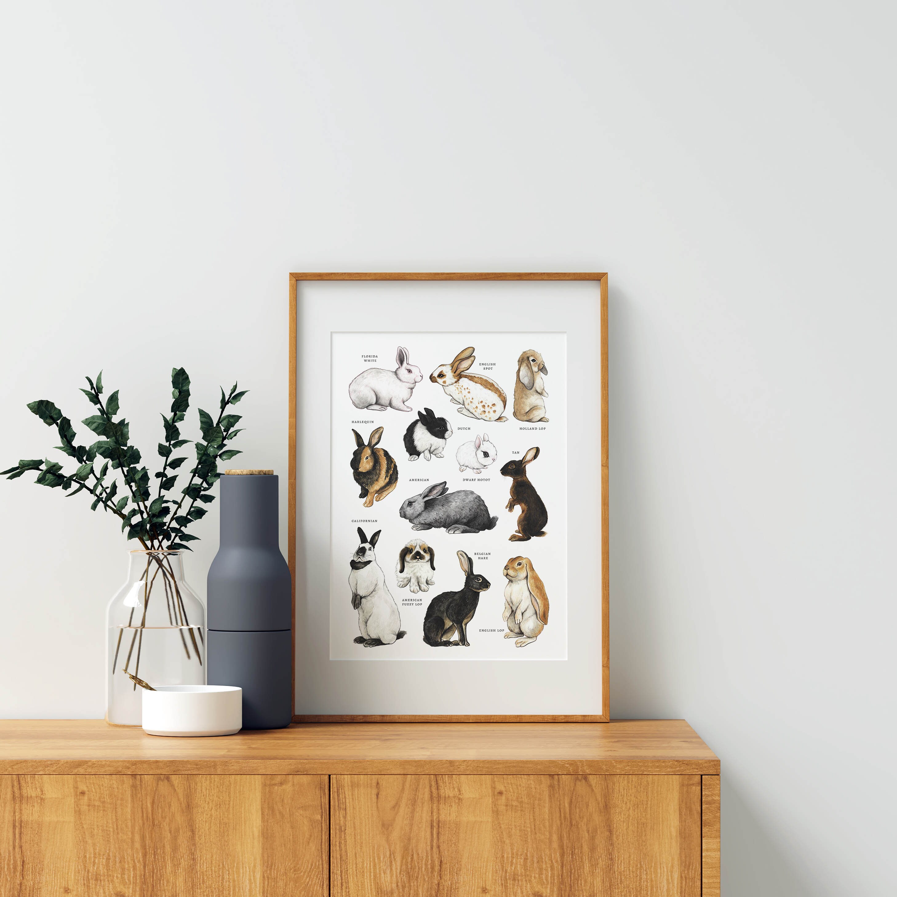 Bunnies Poster Rabbits Species Collection Bunny Lovers - Etsy UK