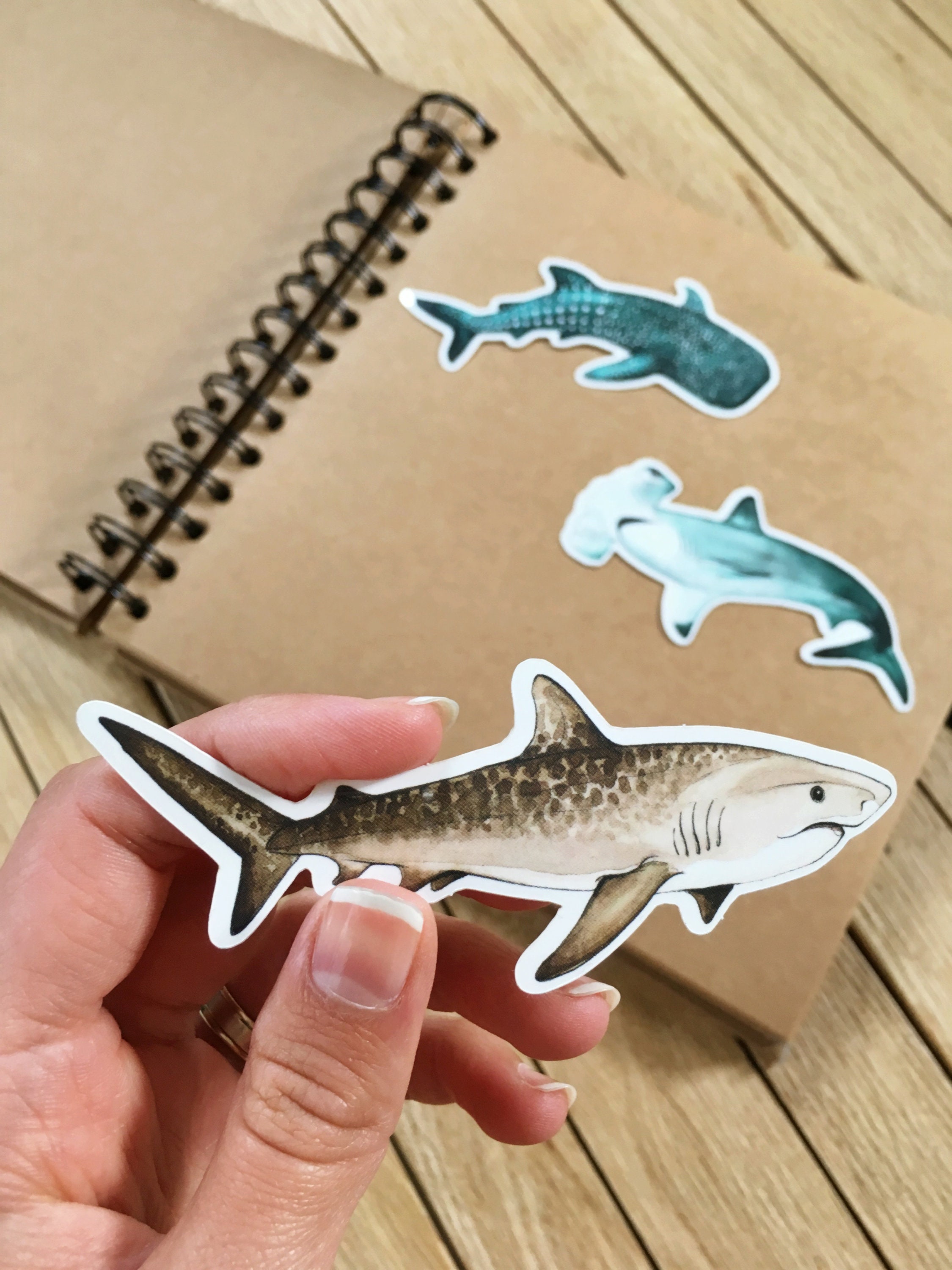 Hai Sticker Vinyl Sticker Haie Ocean Life plastikfreie - Etsy.de