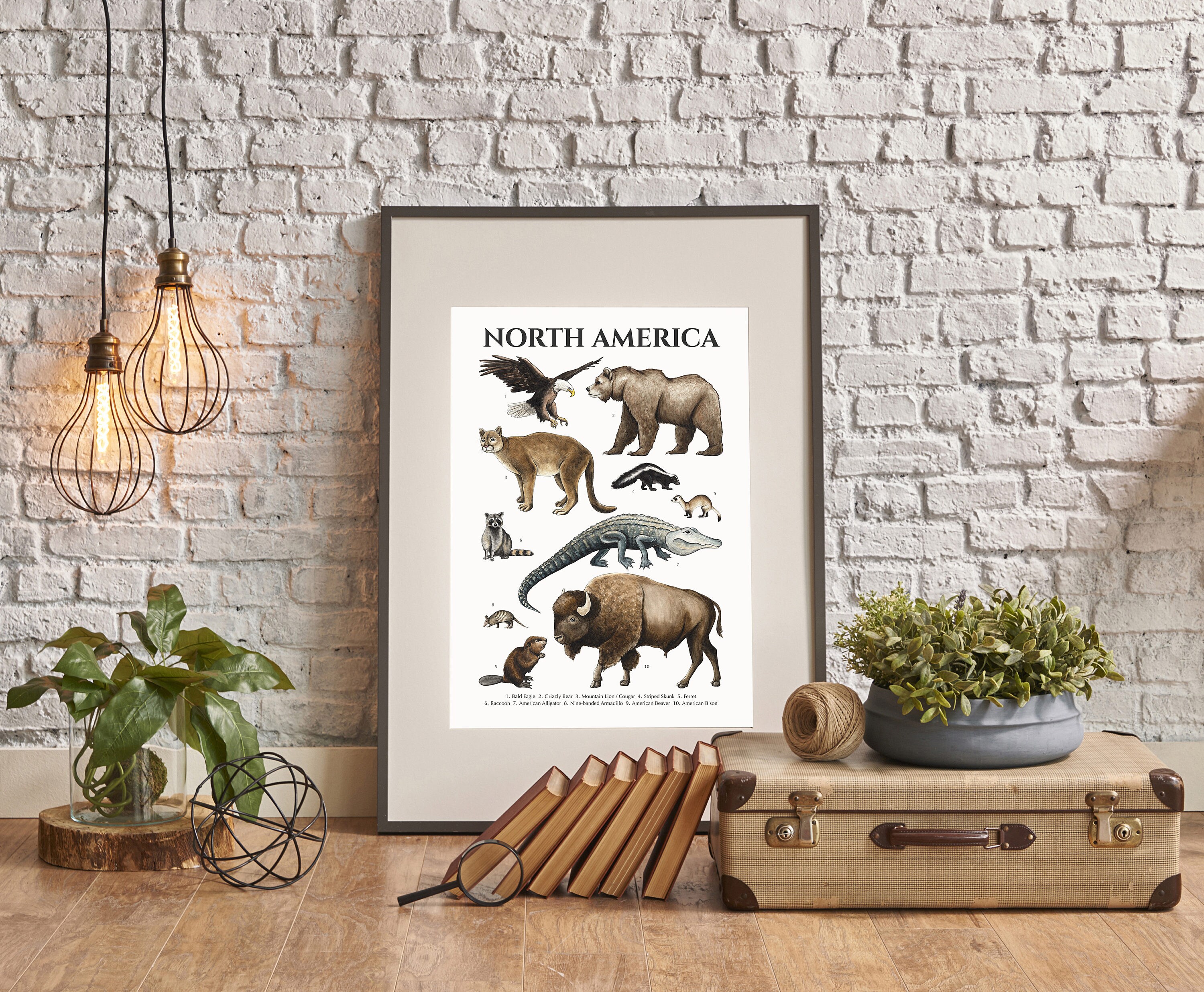 North America Animals Animals Poster Nursery Decor Home | Etsy