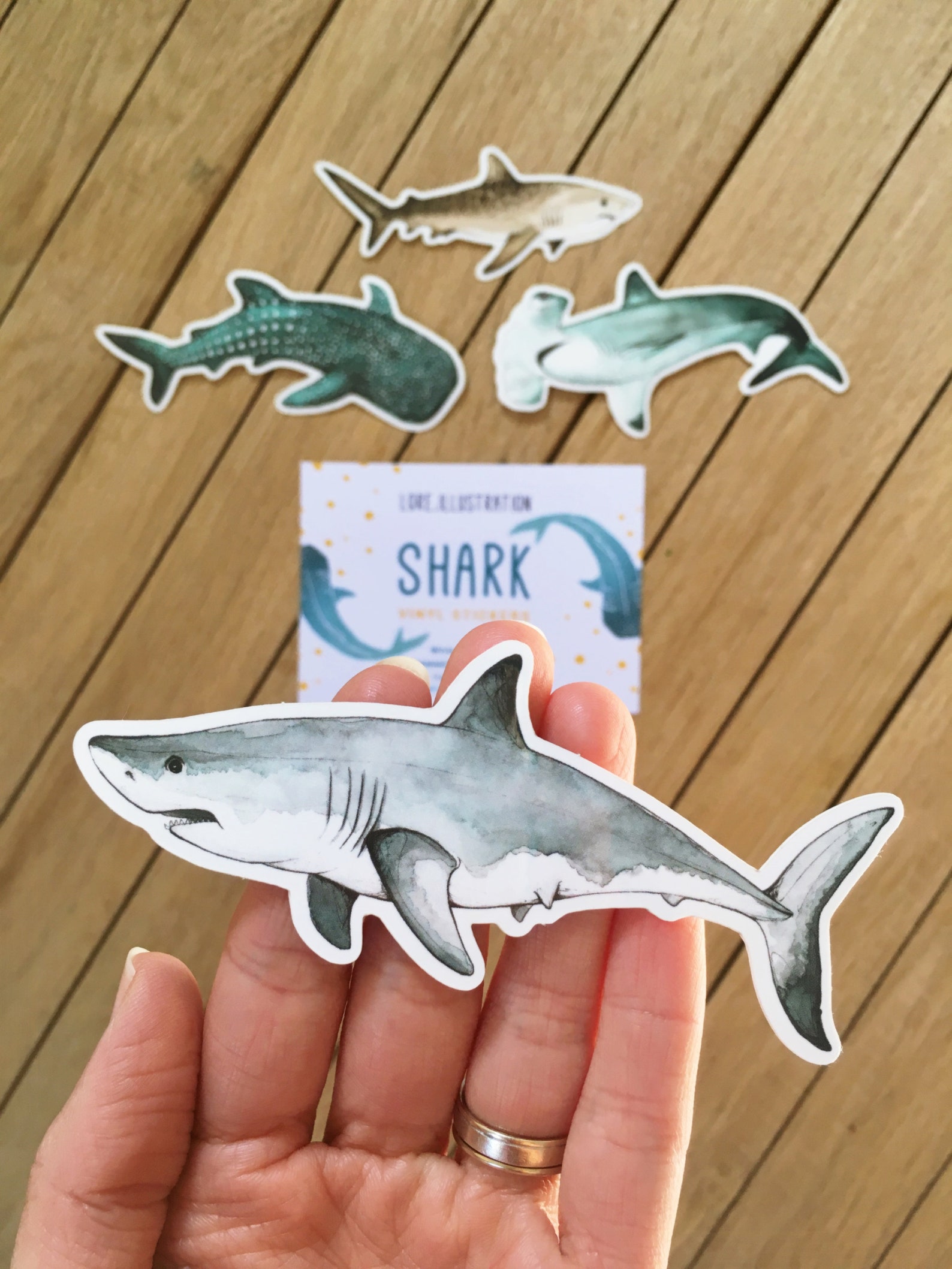 Shark Stickers Vinyl Stickers Sharks Ocean Life Plastic - Etsy