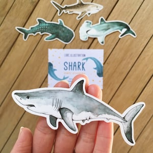 Shark Stickers Vinyl Stickers Sharks Ocean Life Plastic - Etsy