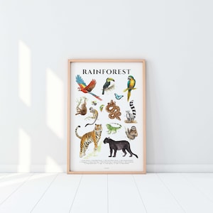 Rainforest Poster, Rainforest Animals, Watercolor Art, Nursery Decor ...